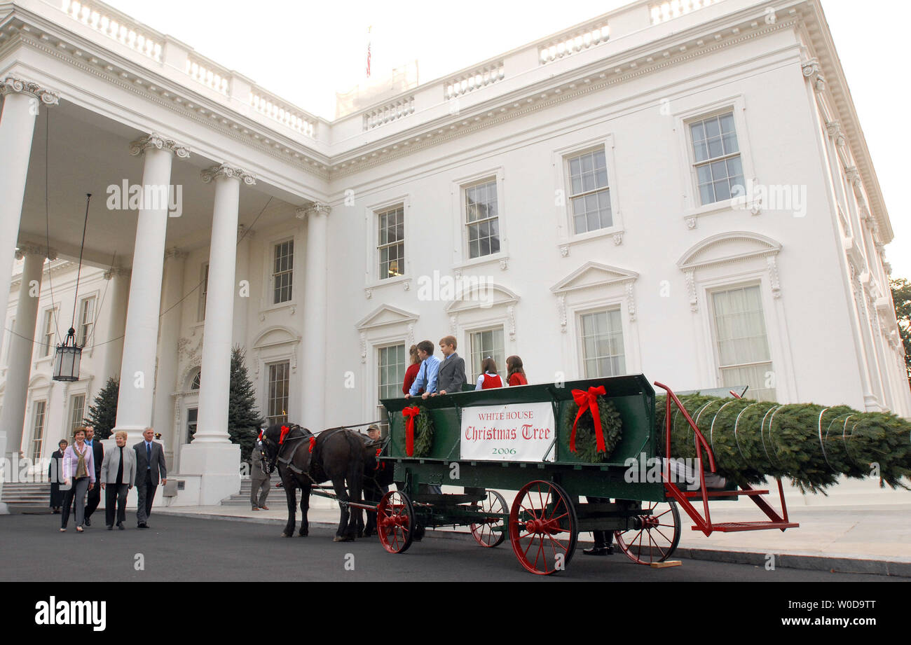 First Lady Laura Bush kommt das Weiße Haus Weihnachtsbaum im Weißen ...