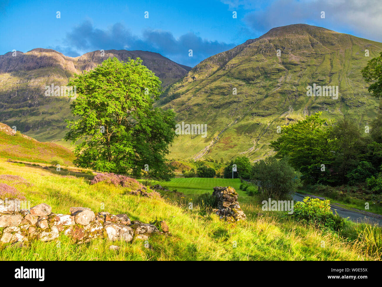 James bond skyfall road -Fotos und -Bildmaterial in hoher Auflösung – Alamy