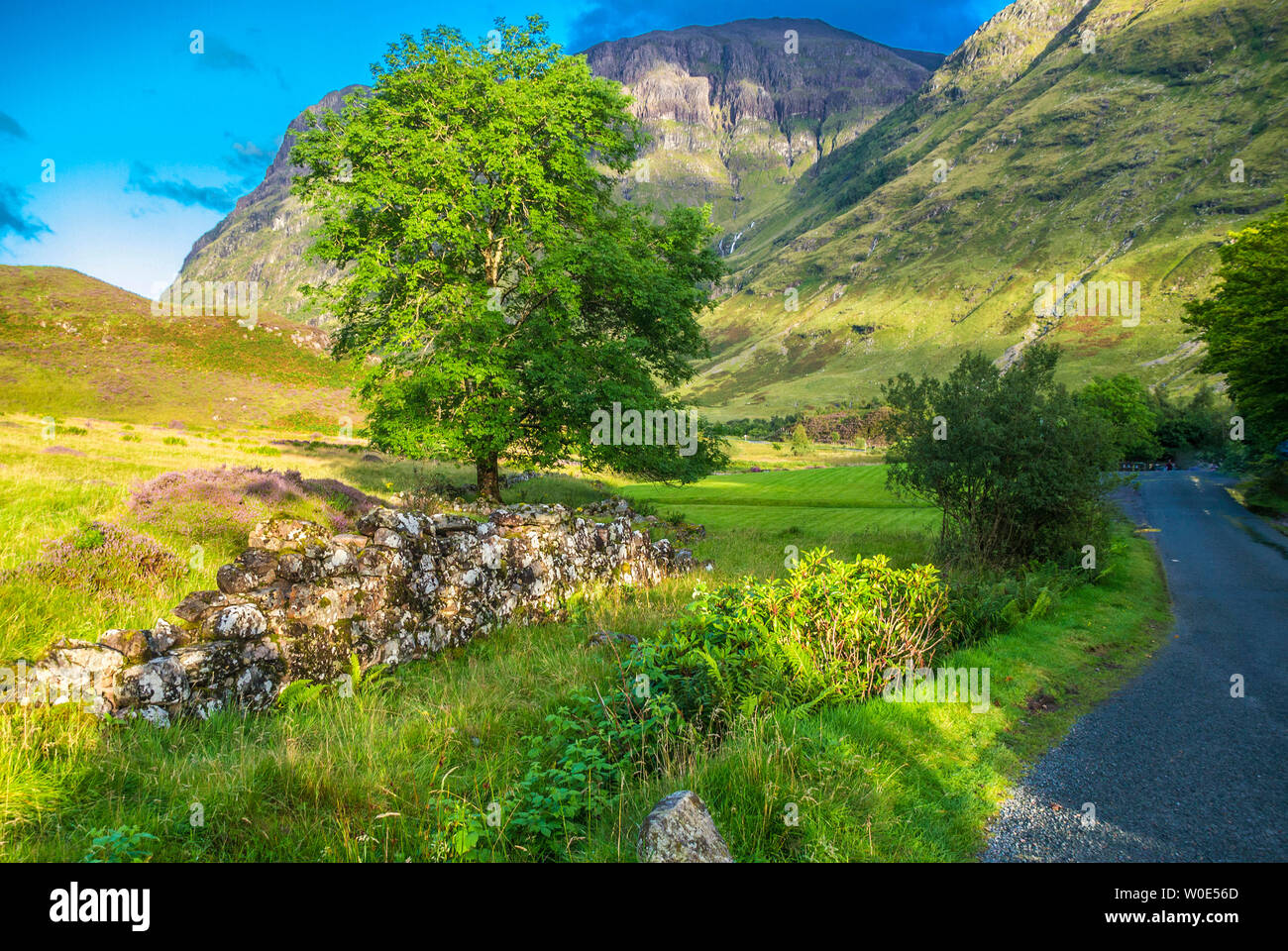 James bond skyfall road -Fotos und -Bildmaterial in hoher Auflösung – Alamy