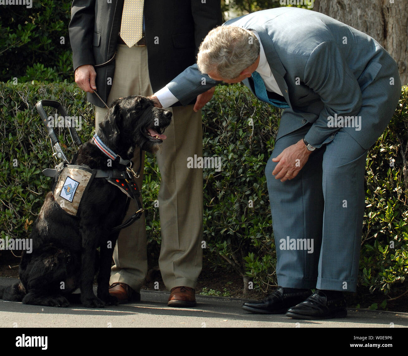 Us-Präsident George W. Bush steht mit Ed Salau und seinen Hund nach dem ...
