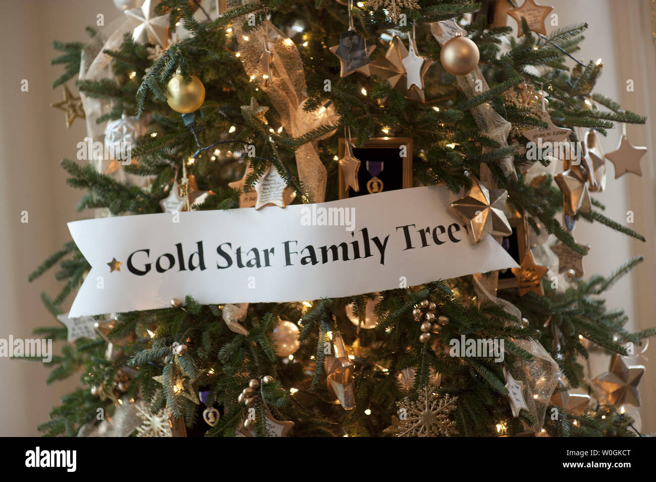 Gold star family -Fotos und -Bildmaterial in hoher Auflösung – Alamy