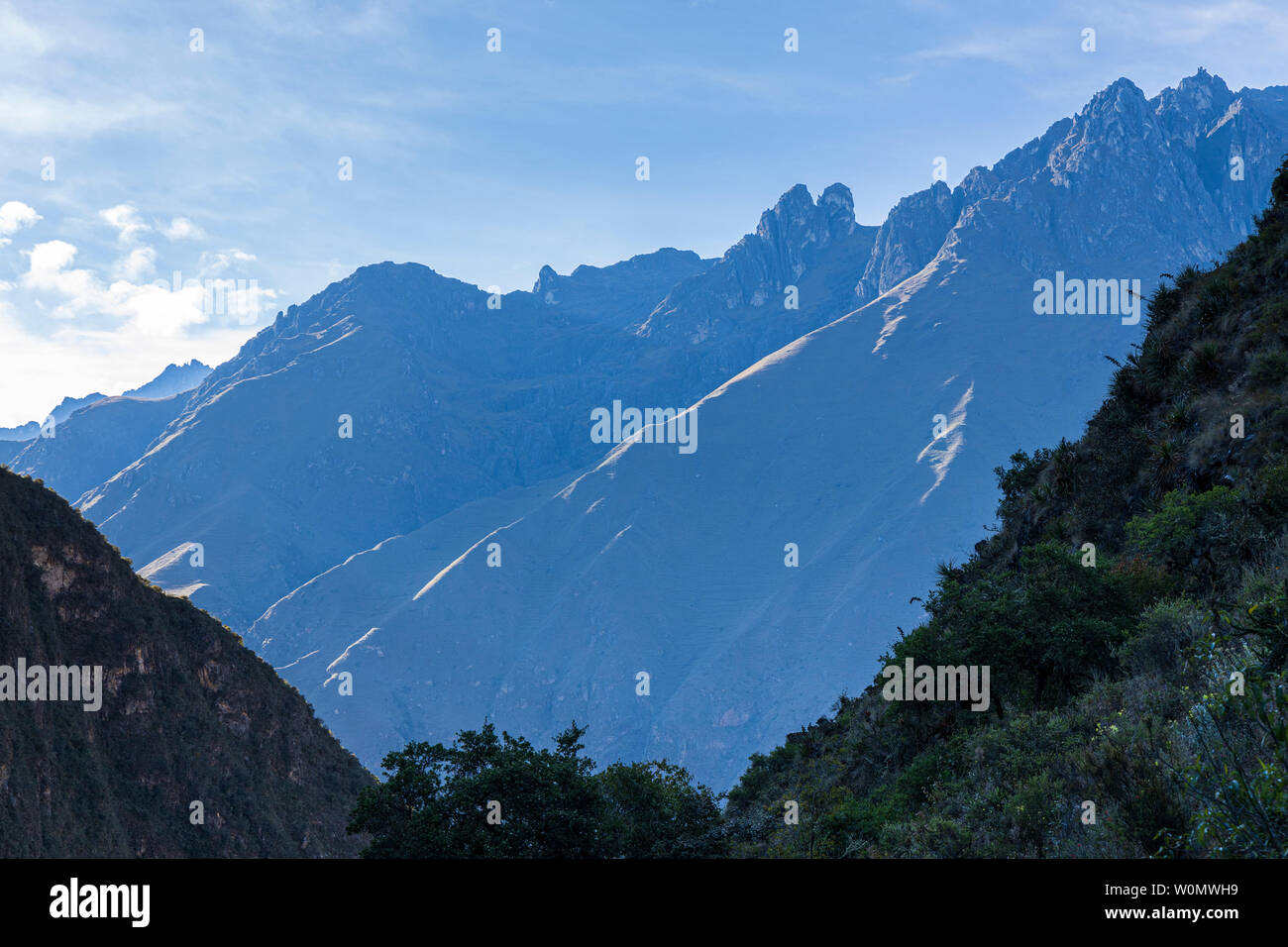 Pacay Mayo Alto Stockfotos und -bilder Kaufen - Alamy