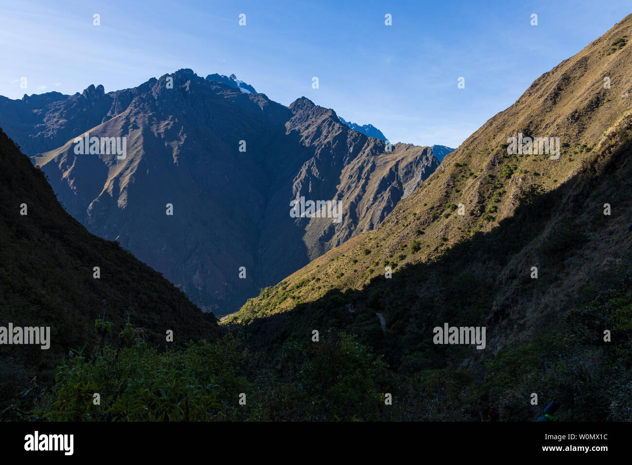 Pacay Mayo Alto Stockfotos und -bilder Kaufen - Alamy