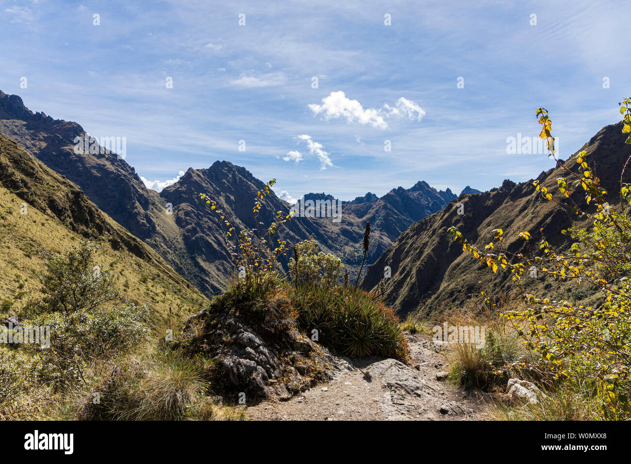 Pacay Mayo Alto Stockfotos und -bilder Kaufen - Alamy