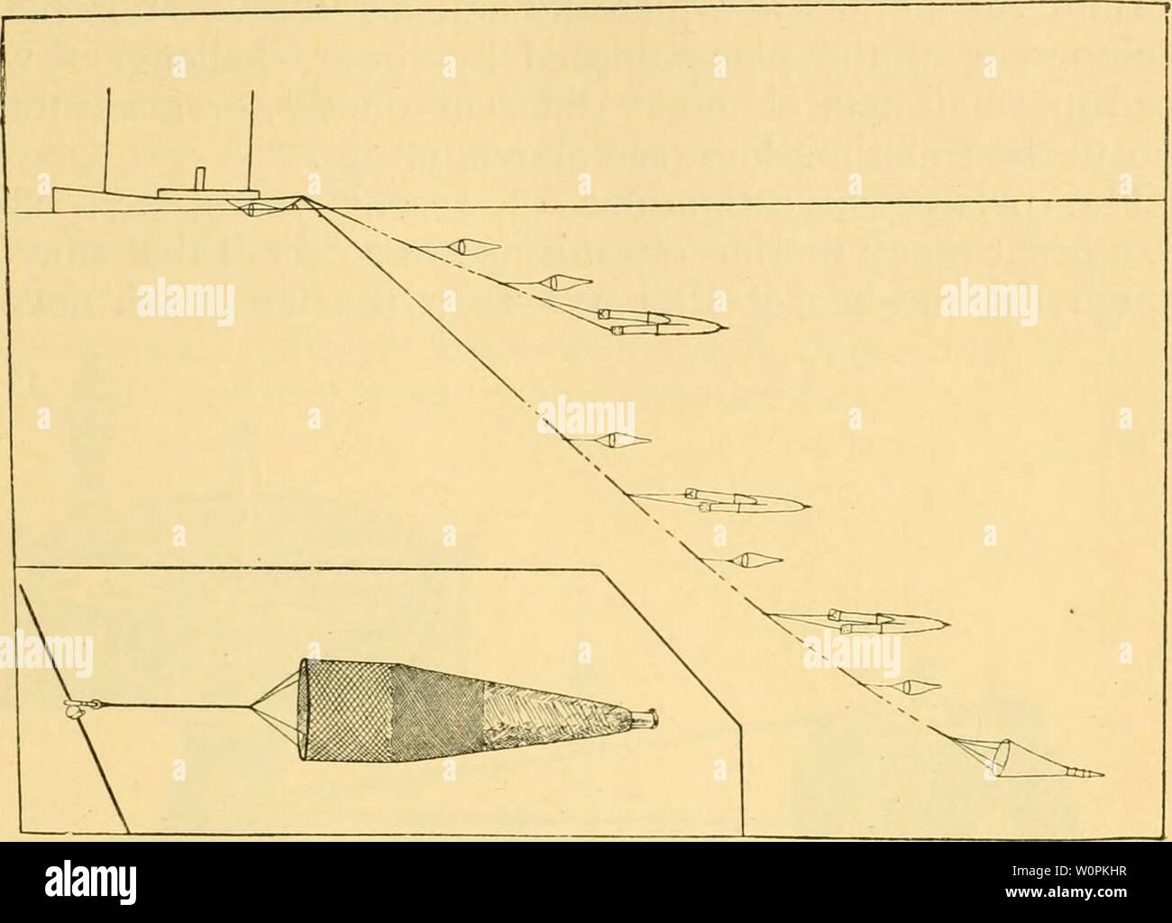 Pelagische schleppnetze -Fotos und -Bildmaterial in hoher Auflösung – Alamy