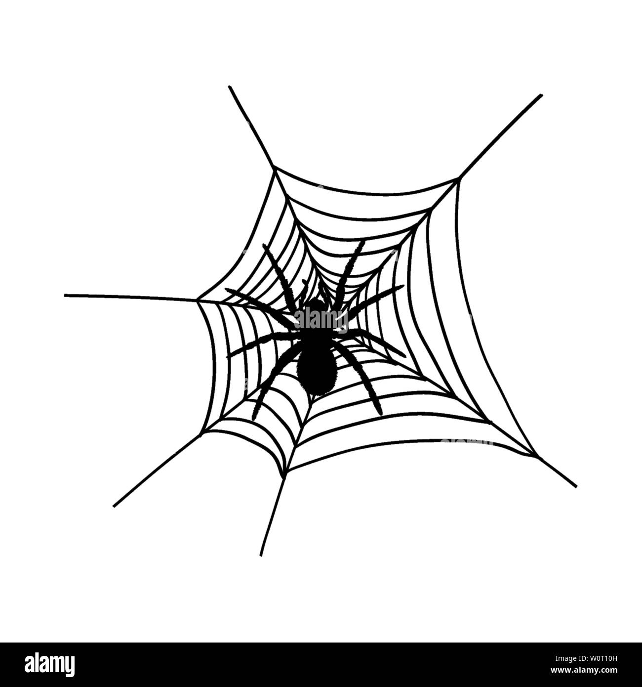 Cartoon illustration funny spider insect Schwarzweiß-Stockfotos und ...