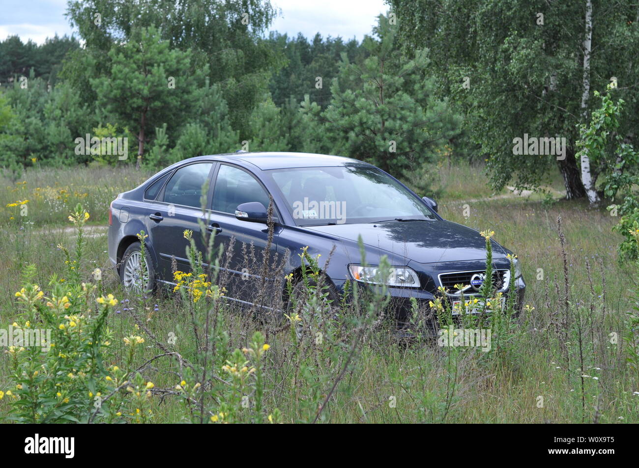 Geparktes auto auf gras -Fotos und -Bildmaterial in hoher Auflösung – Alamy