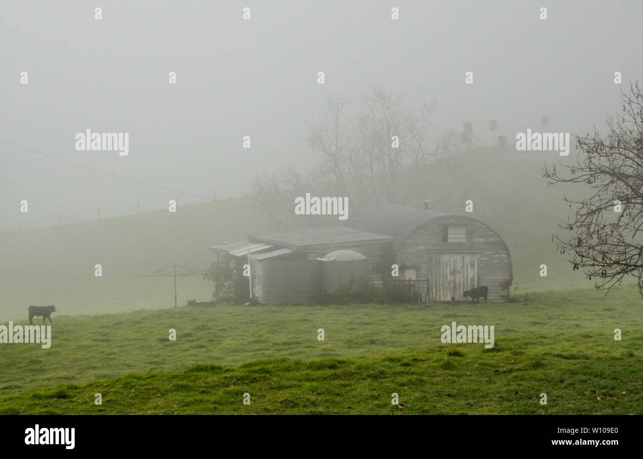 Australian farm house -Fotos und -Bildmaterial in hoher Auflösung – Alamy