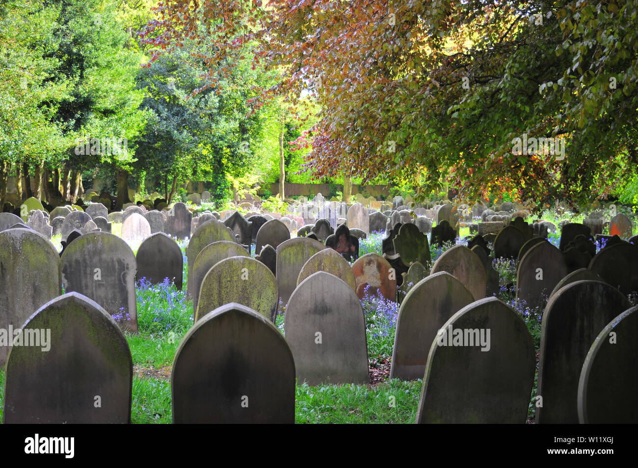 Die triade bootle -Fotos und -Bildmaterial in hoher Auflösung – Alamy