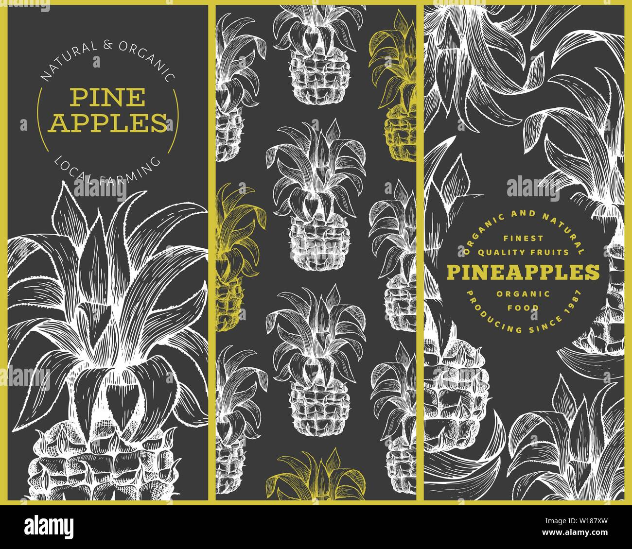 Der Baum Ananas banner Vorlagen. Hand gezeichnet Vektor tropische ...