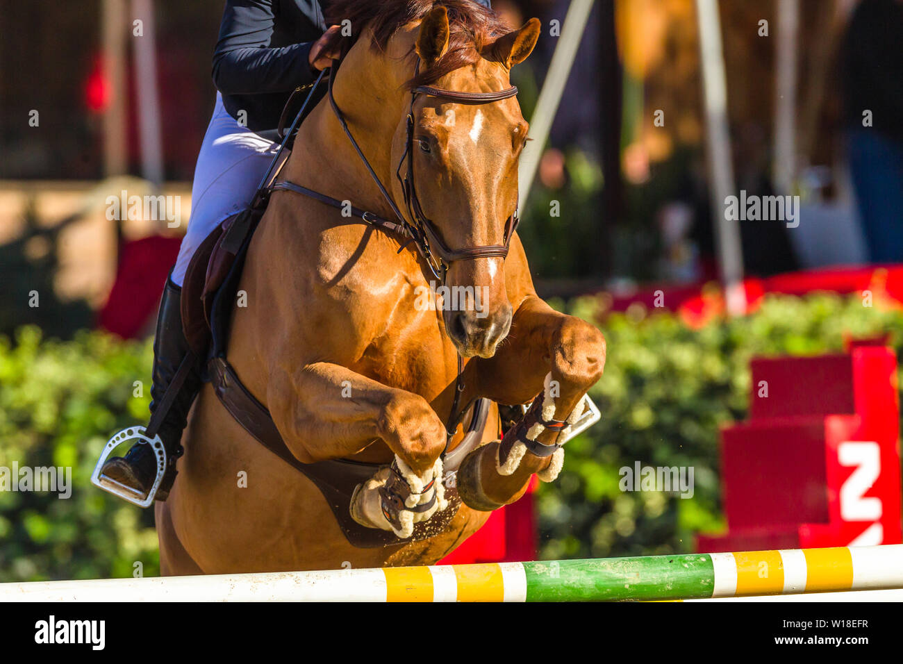 Reiter springen sprungtor -Fotos und -Bildmaterial in hoher Auflösung ...
