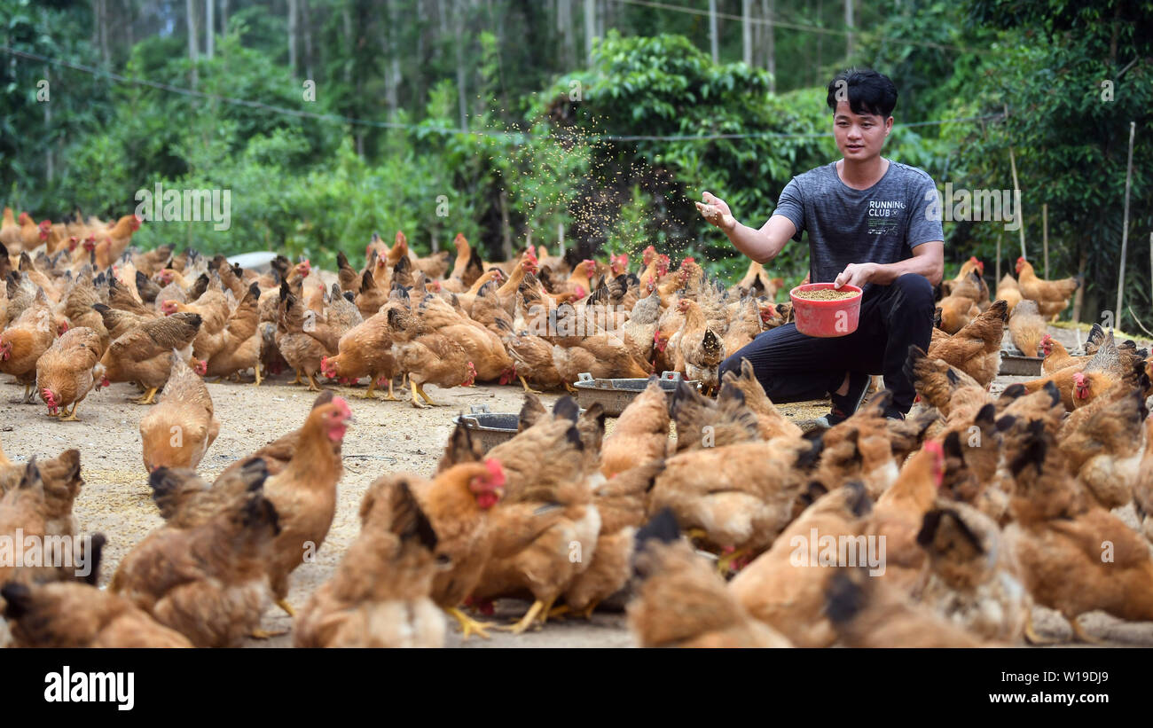 Wen qiang -Fotos und -Bildmaterial in hoher Auflösung – Alamy