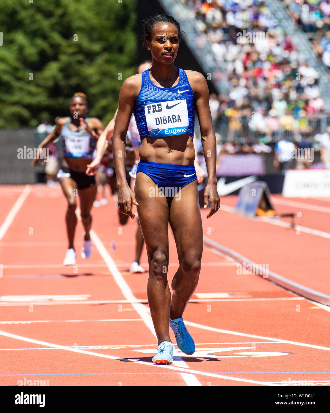 Genzebe dibaba -Fotos und -Bildmaterial in hoher Auflösung – Alamy