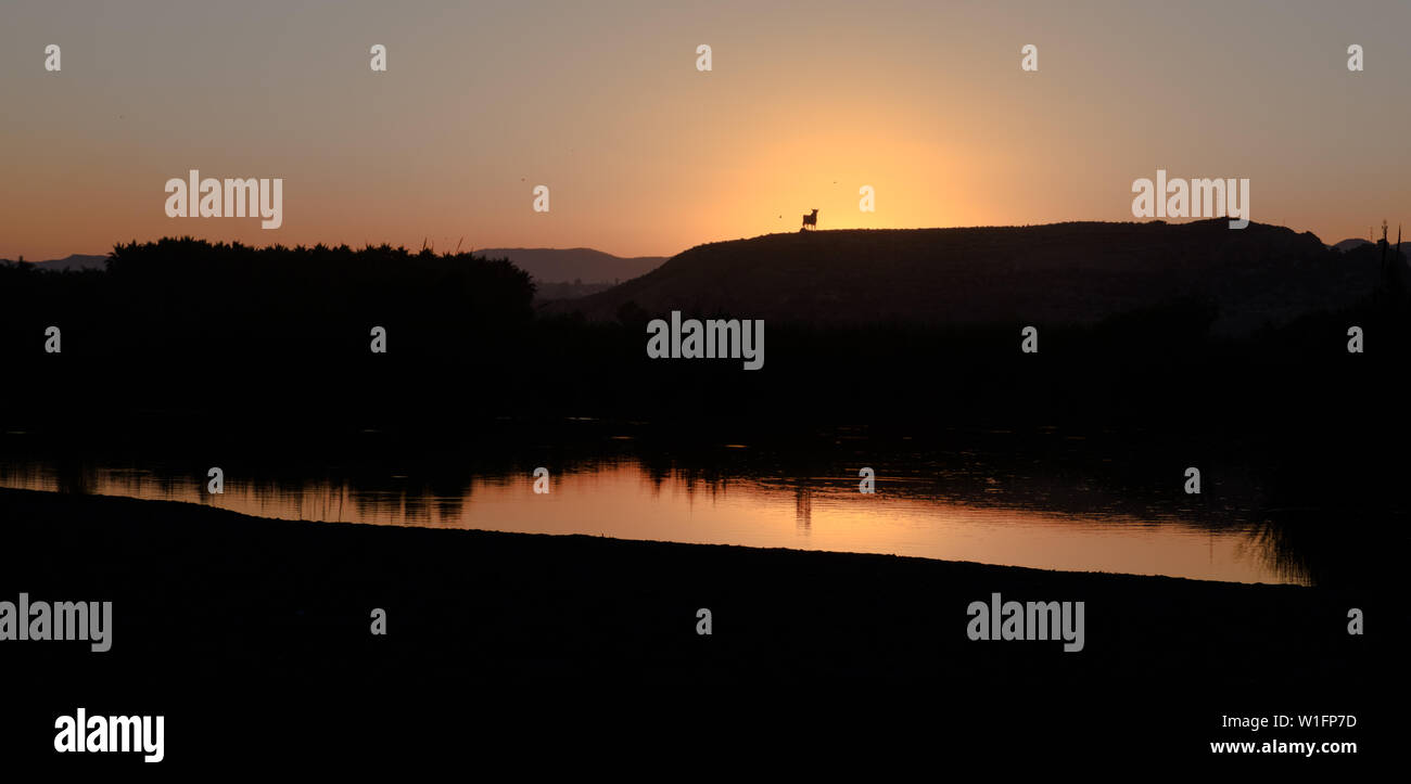 Osborne Stier Andalusien Spanien Stockfotos und -bilder Kaufen - Alamy