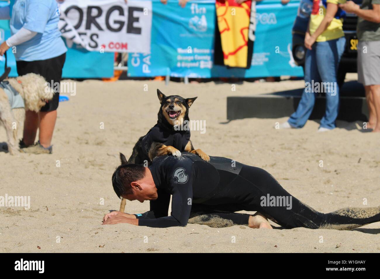 Surfer und hund am strand -Fotos und -Bildmaterial in hoher Auflösung ...