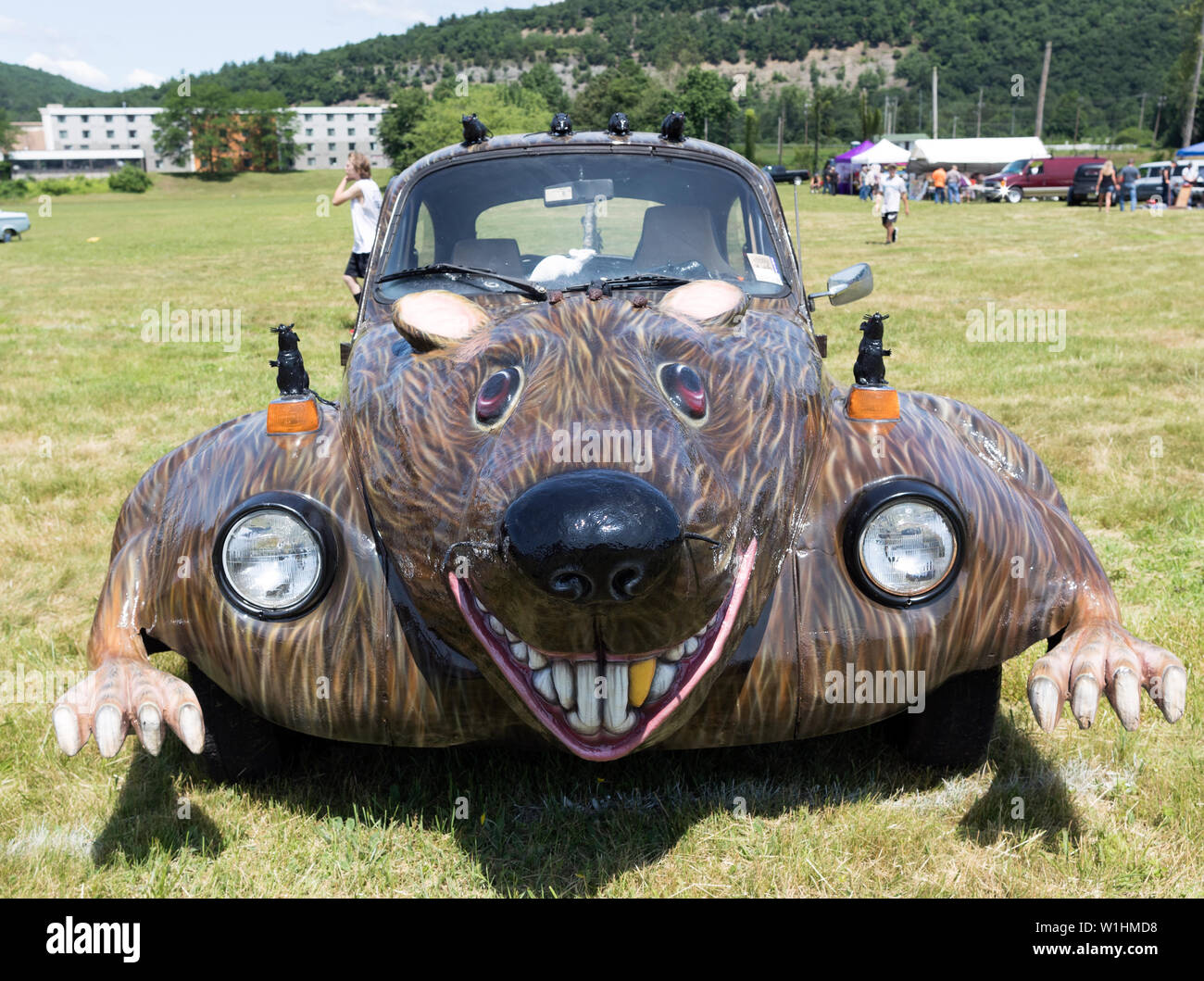 Ratte rad -Fotos und -Bildmaterial in hoher Auflösung – Alamy