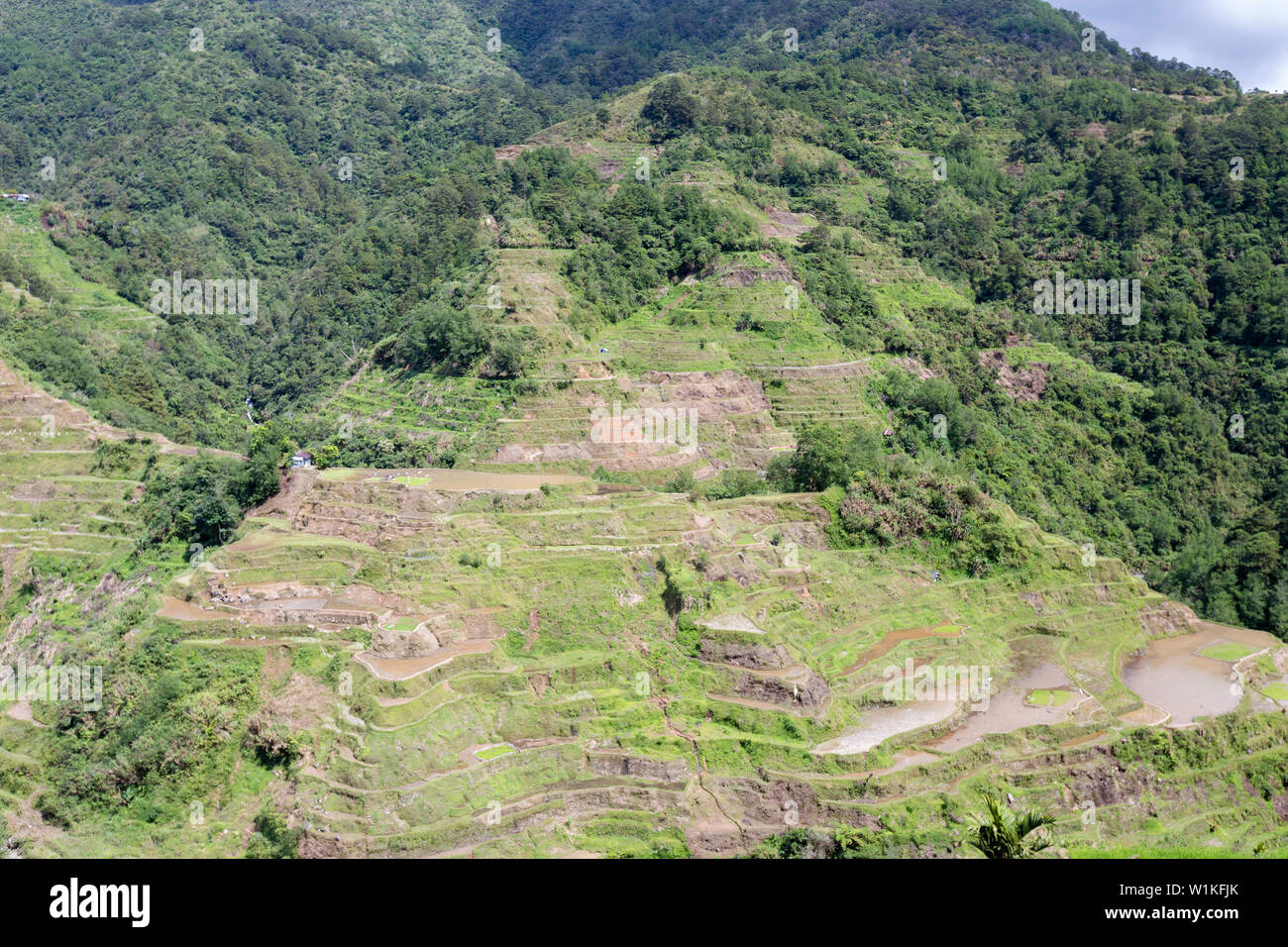 Reisfeld aussichtspunkt -Fotos und -Bildmaterial in hoher Auflösung – Alamy