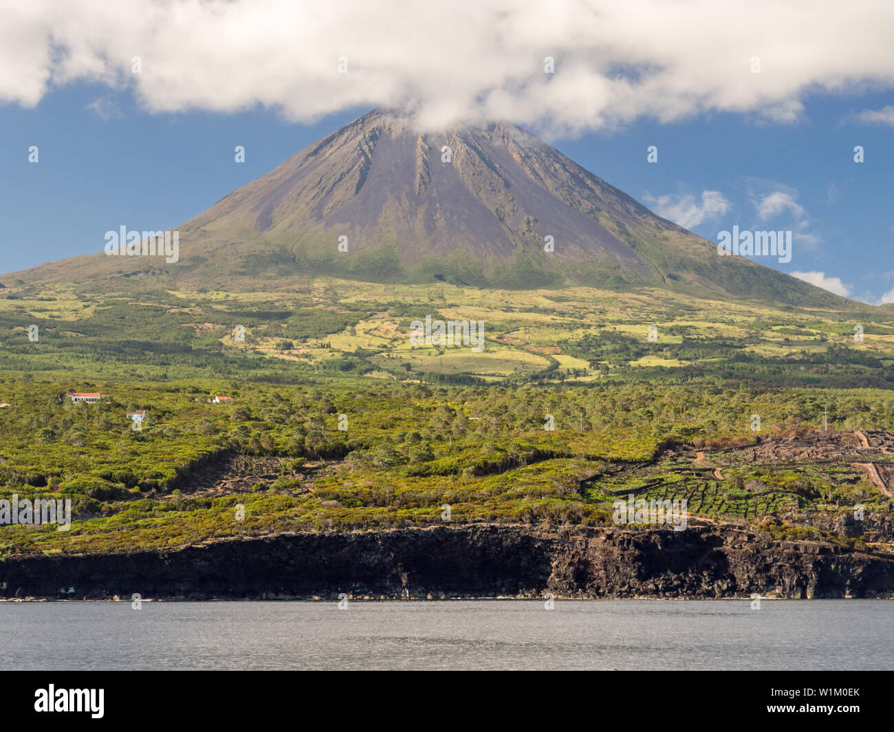 Den Berg Pico mit Weinbergen und Ackerland im Vordergrund, die Insel ...