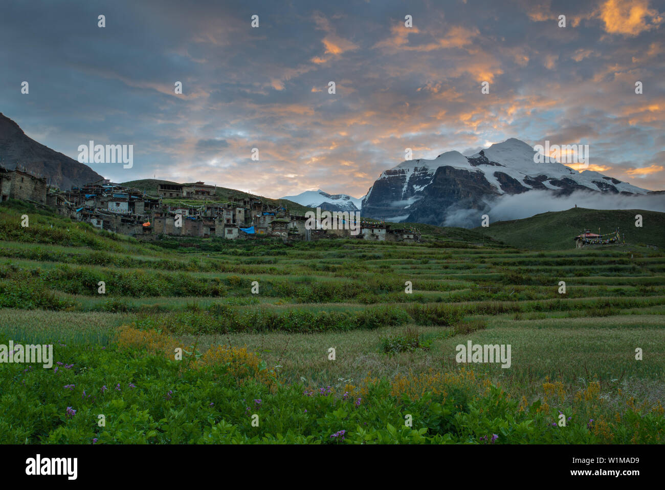 Kang guru -Fotos und -Bildmaterial in hoher Auflösung – Alamy