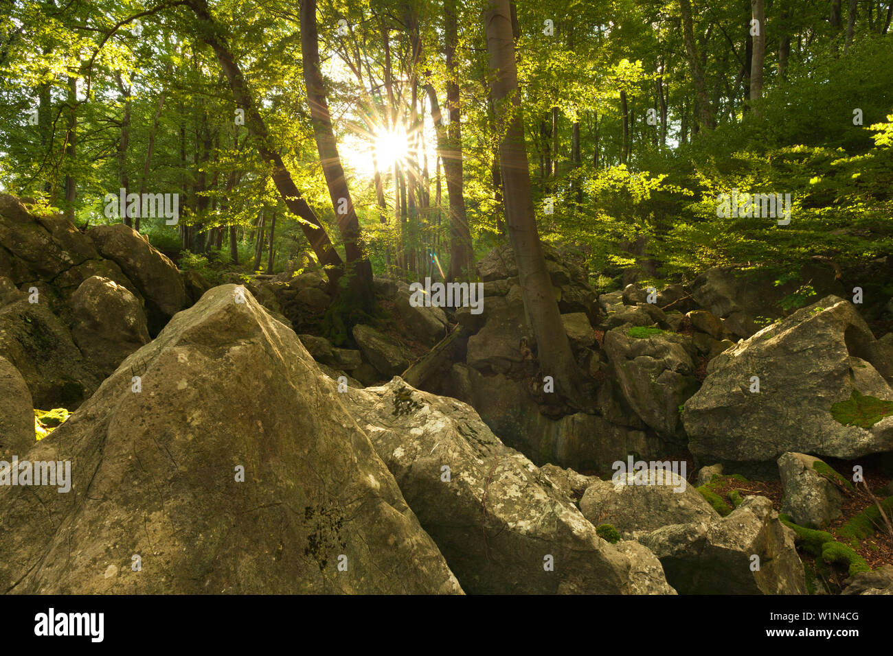 Felsenmeer Hemer Stockfotos und -bilder Kaufen - Alamy