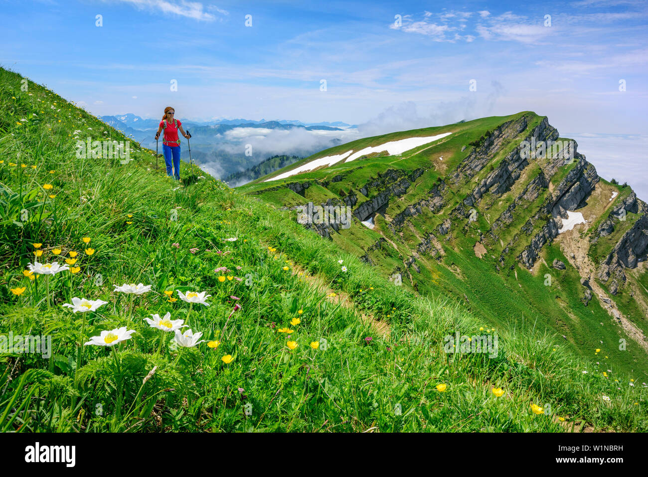 Frau wandern aufsteigend zu Rindalphorn, Rindalphorn, Nagelfluh ...