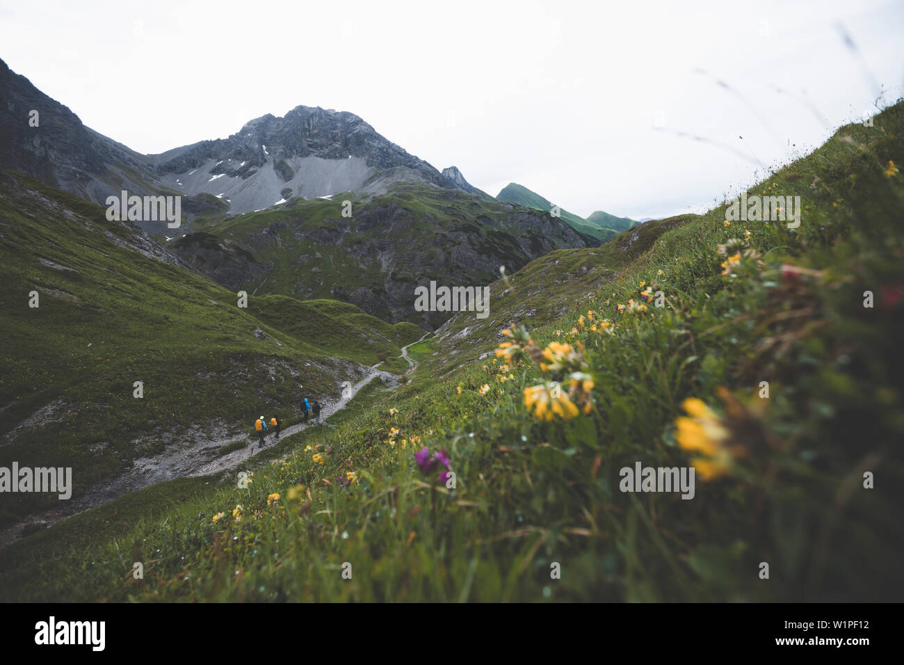 Memminger hutte -Fotos und -Bildmaterial in hoher Auflösung – Alamy