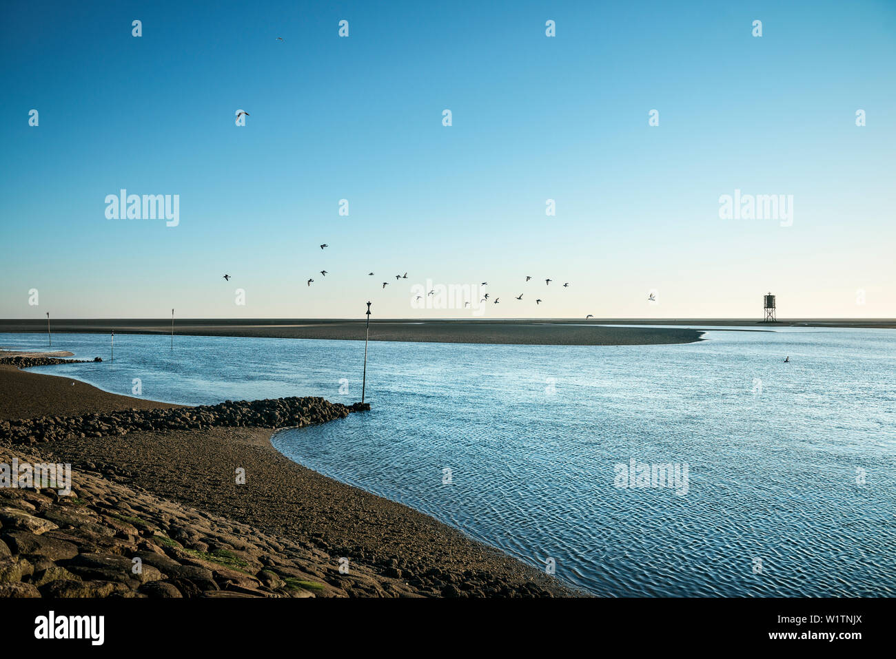 Neuwerk nordsee -Fotos und -Bildmaterial in hoher Auflösung – Alamy