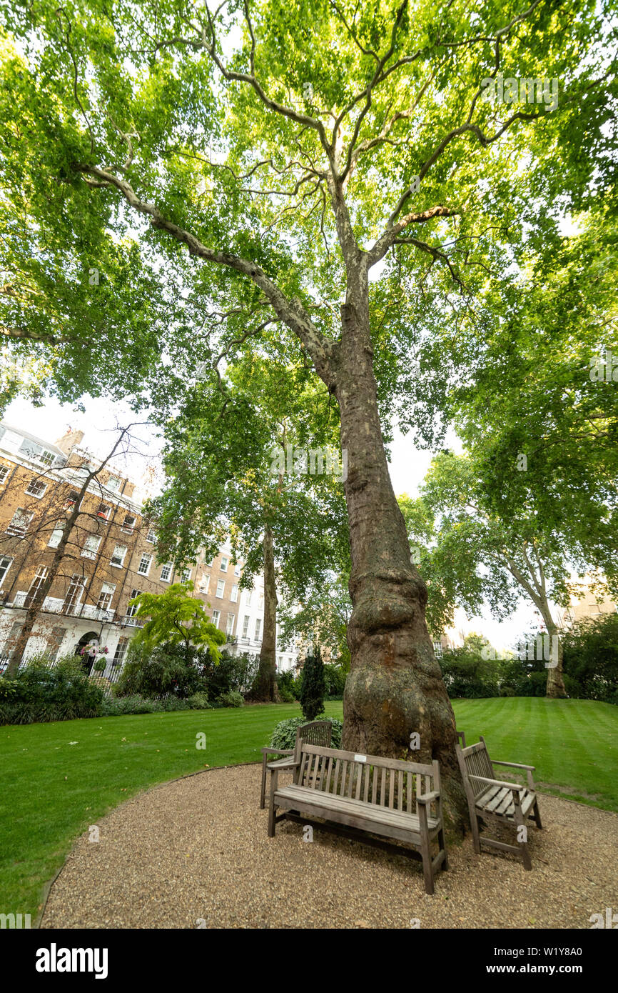 Bryanston square -Fotos und -Bildmaterial in hoher Auflösung – Alamy