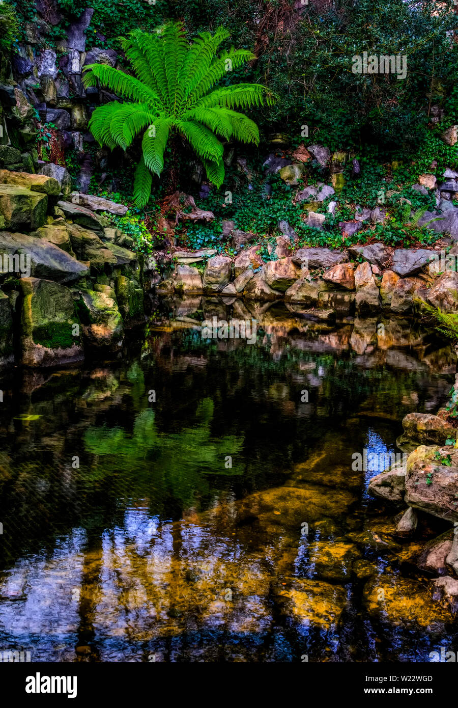 Palmen irland -Fotos und -Bildmaterial in hoher Auflösung – Alamy