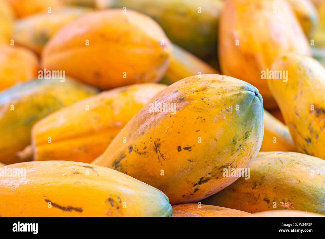 Exotic garden thailand -Fotos und -Bildmaterial in hoher Auflösung – Alamy