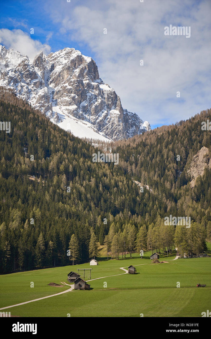 Wiese mit scheune und wald im hintergrund -Fotos und -Bildmaterial in hoher Auflösung – Alamy