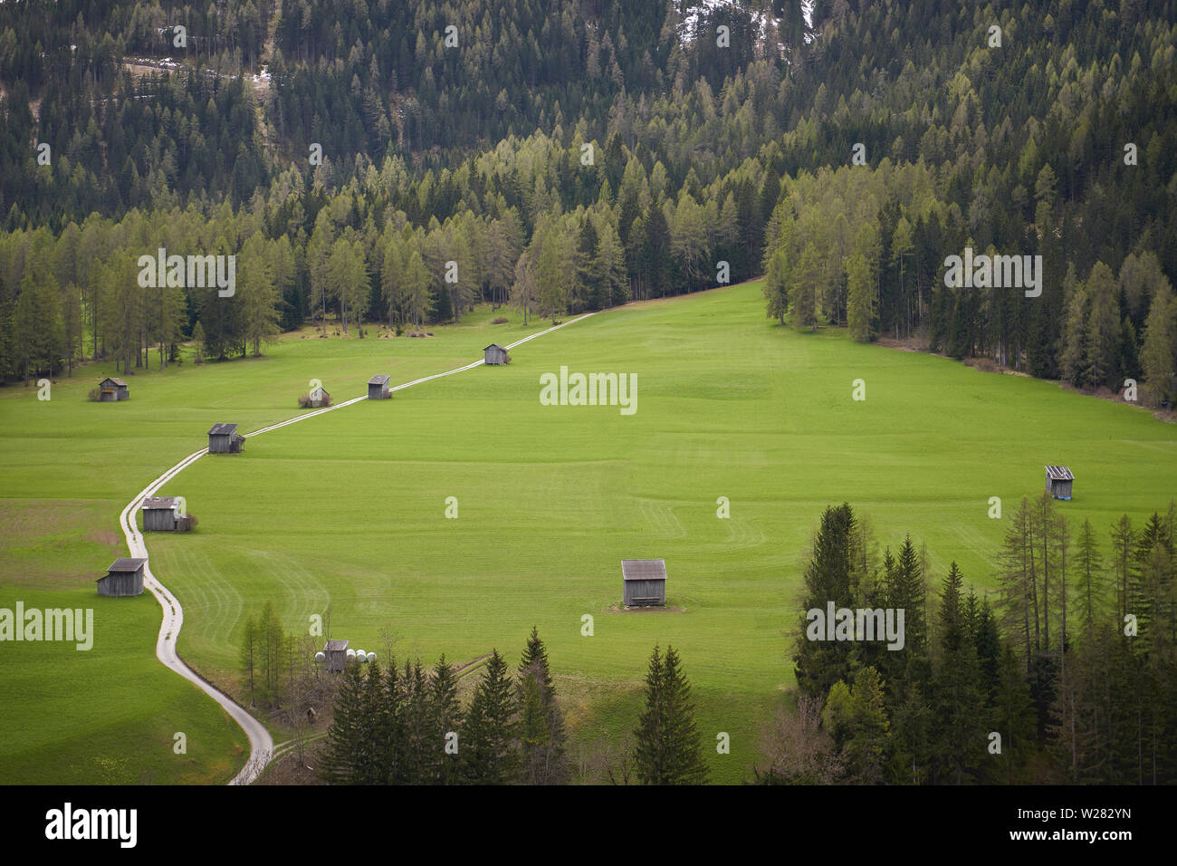 Wiese mit scheune und wald im hintergrund -Fotos und -Bildmaterial in hoher Auflösung – Alamy