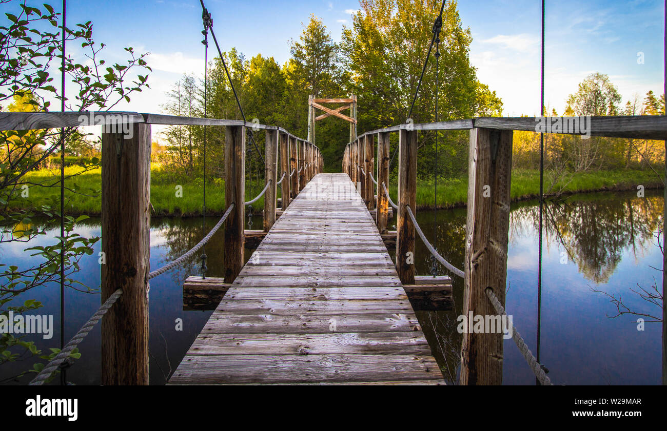 Wanderer auf einem wanderweg im wald Stockfotos und -bilder Kaufen - Alamy