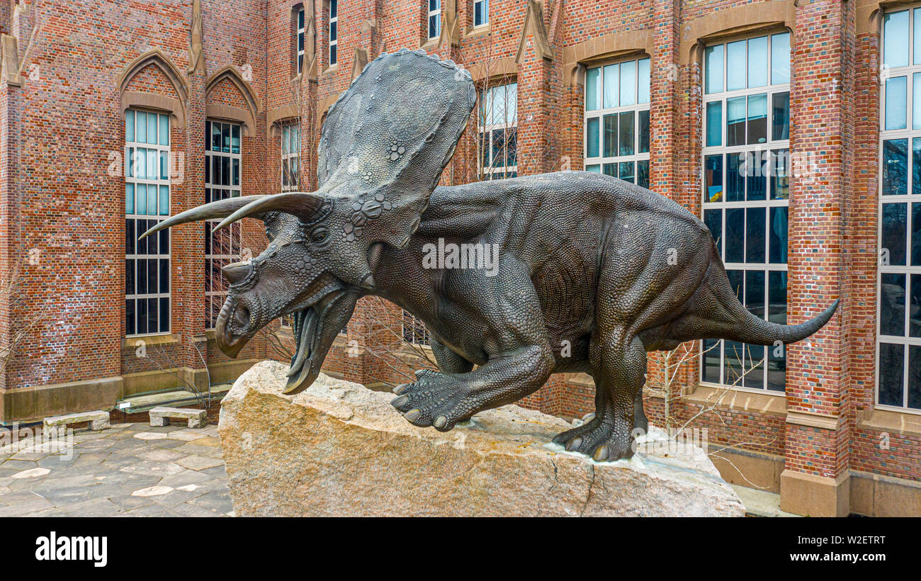 Torosaurus dinosaurier -Fotos und -Bildmaterial in hoher Auflösung – Alamy