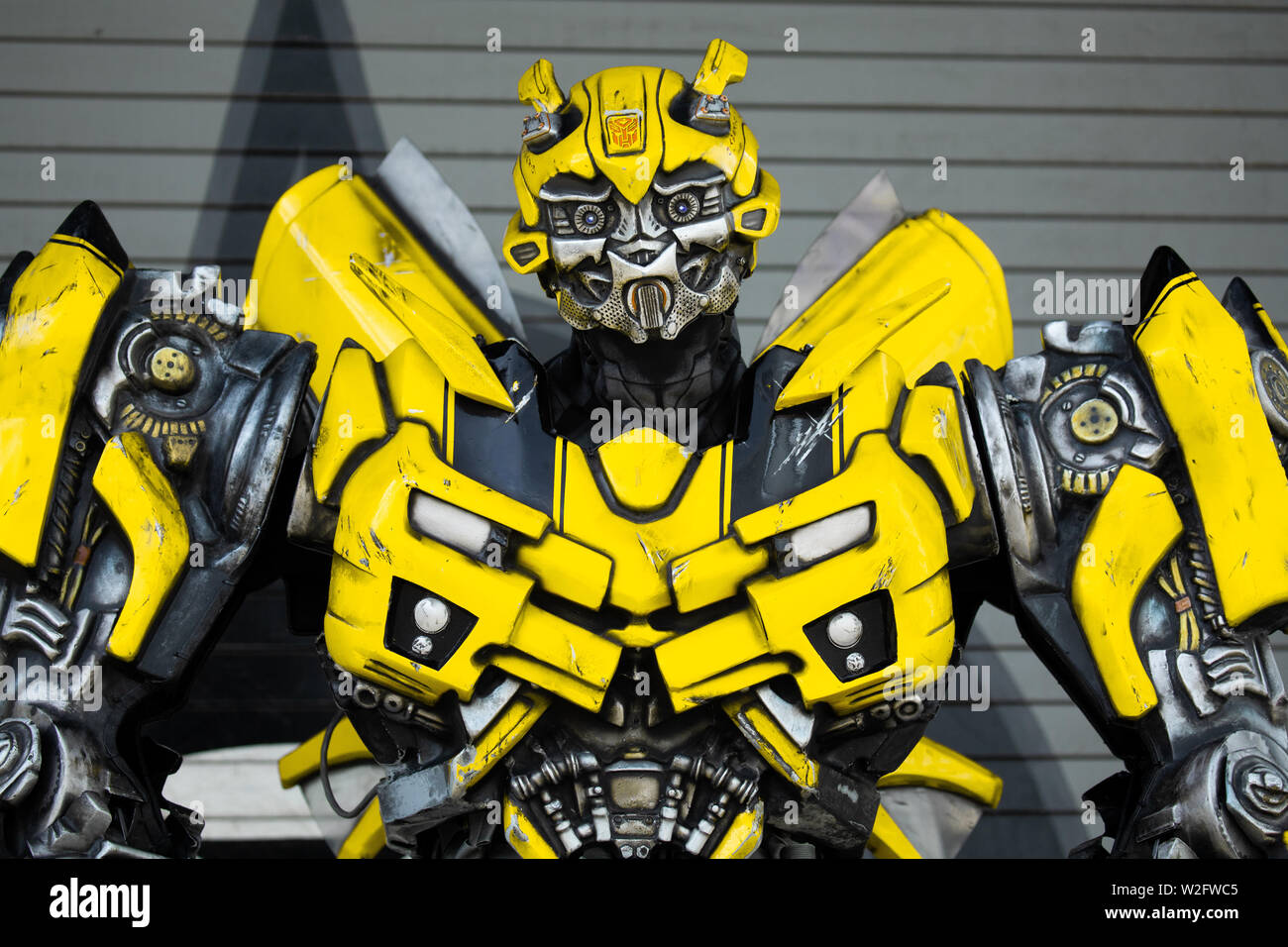 Bumble bee transformer -Fotos und -Bildmaterial in hoher Auflösung – Alamy