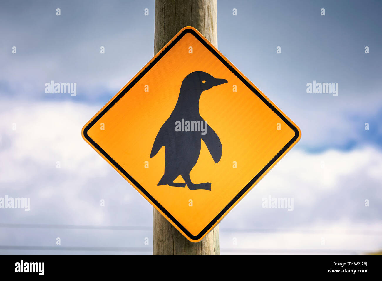 Penguin Crossing sign an Oamaru auf der Südinsel von Neuseeland. Omaru ...