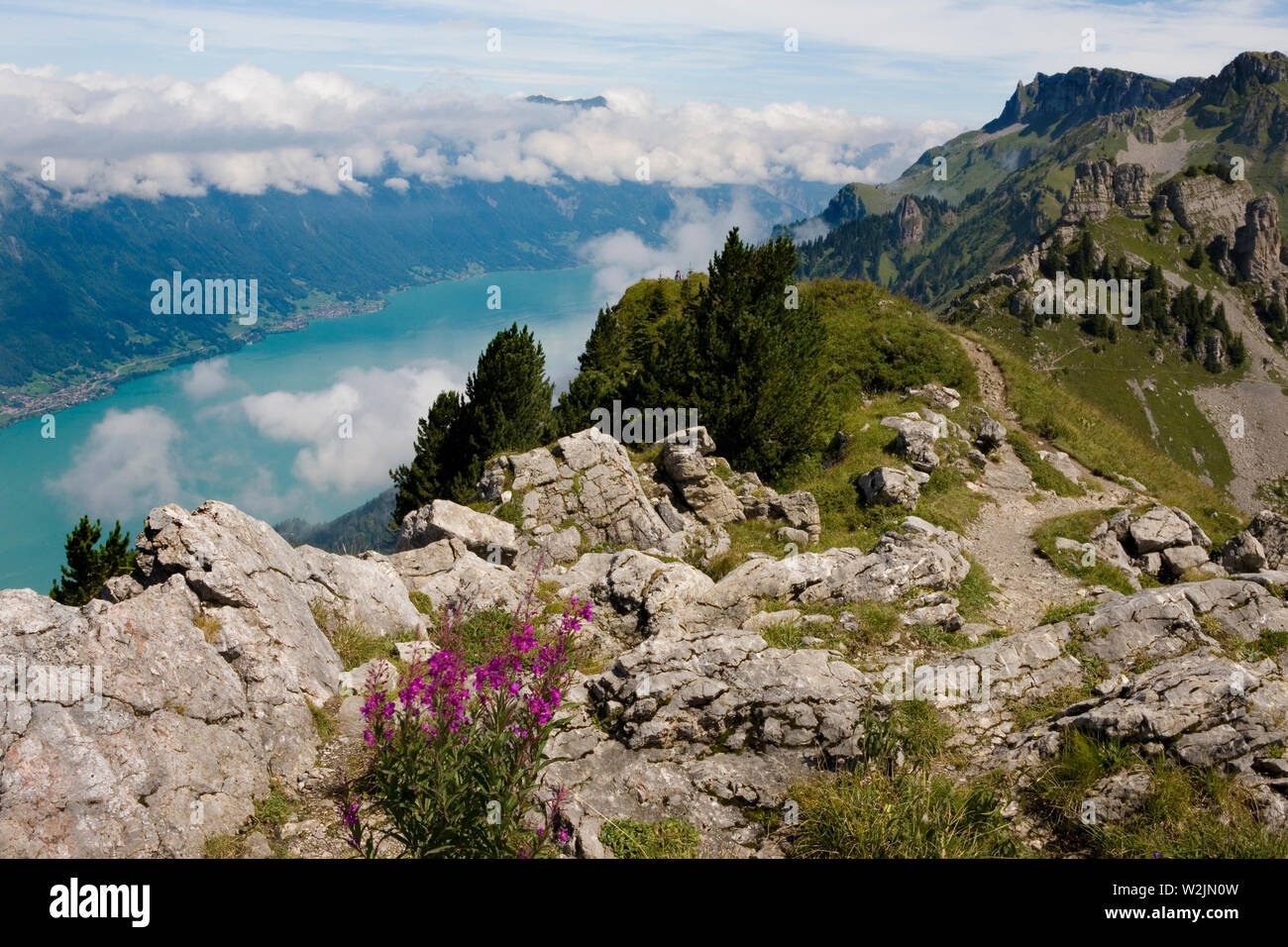 Der Brienzersee (Brienzersee) vom Panoramaweg auf den Höhen der ...