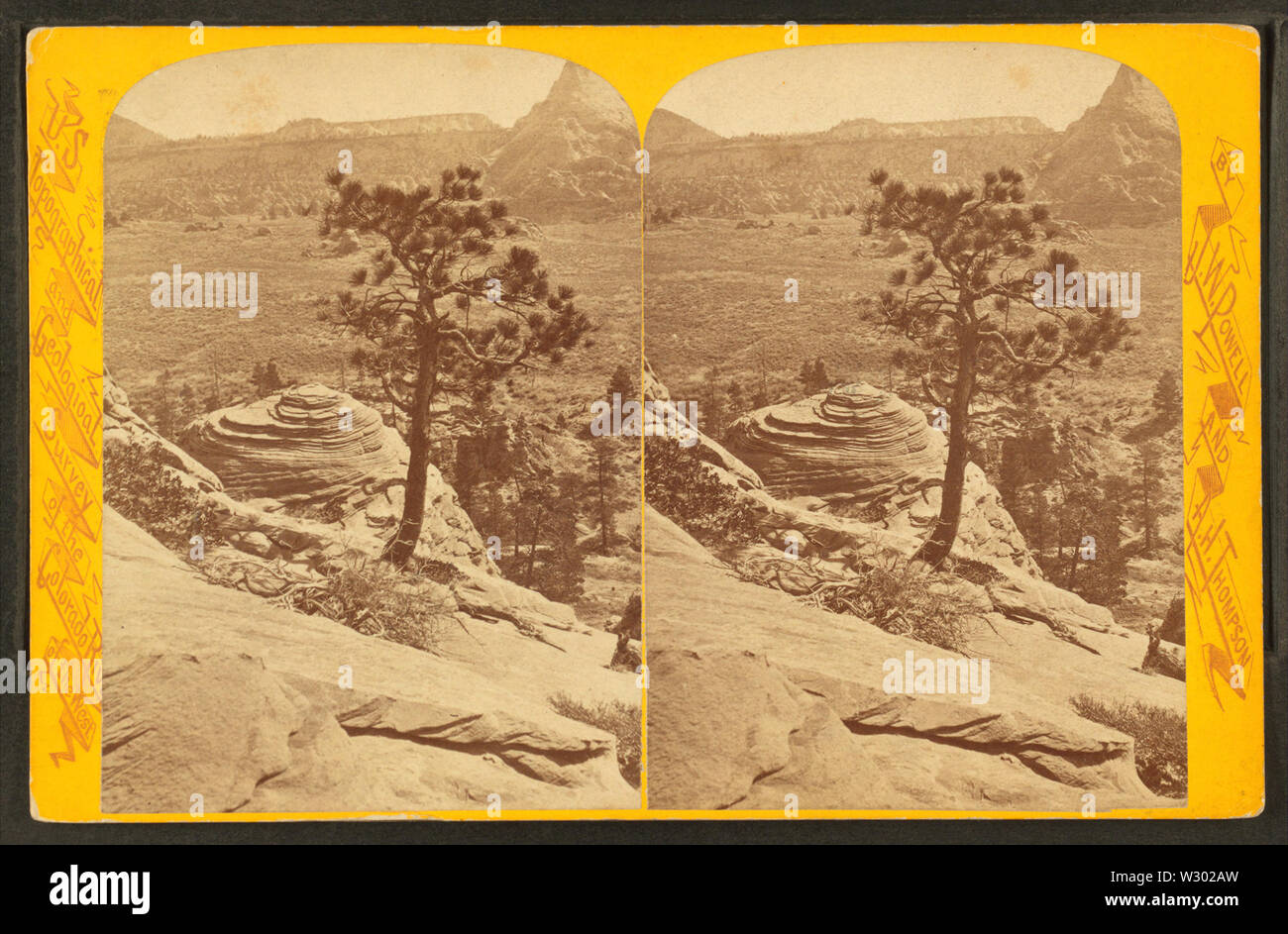 Robert zion -Fotos und -Bildmaterial in hoher Auflösung – Alamy