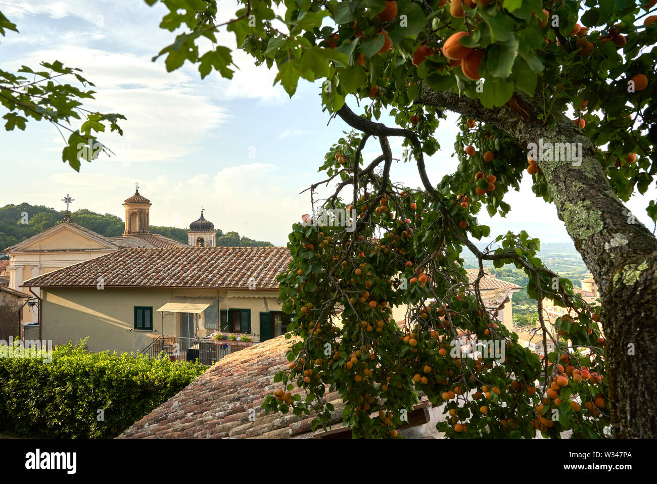 Frucht von italien -Fotos und -Bildmaterial in hoher Auflösung – Alamy