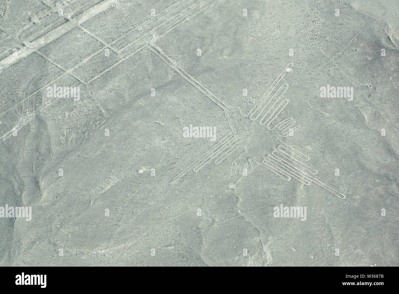 Die papagei nazca linien peru -Fotos und -Bildmaterial in hoher ...
