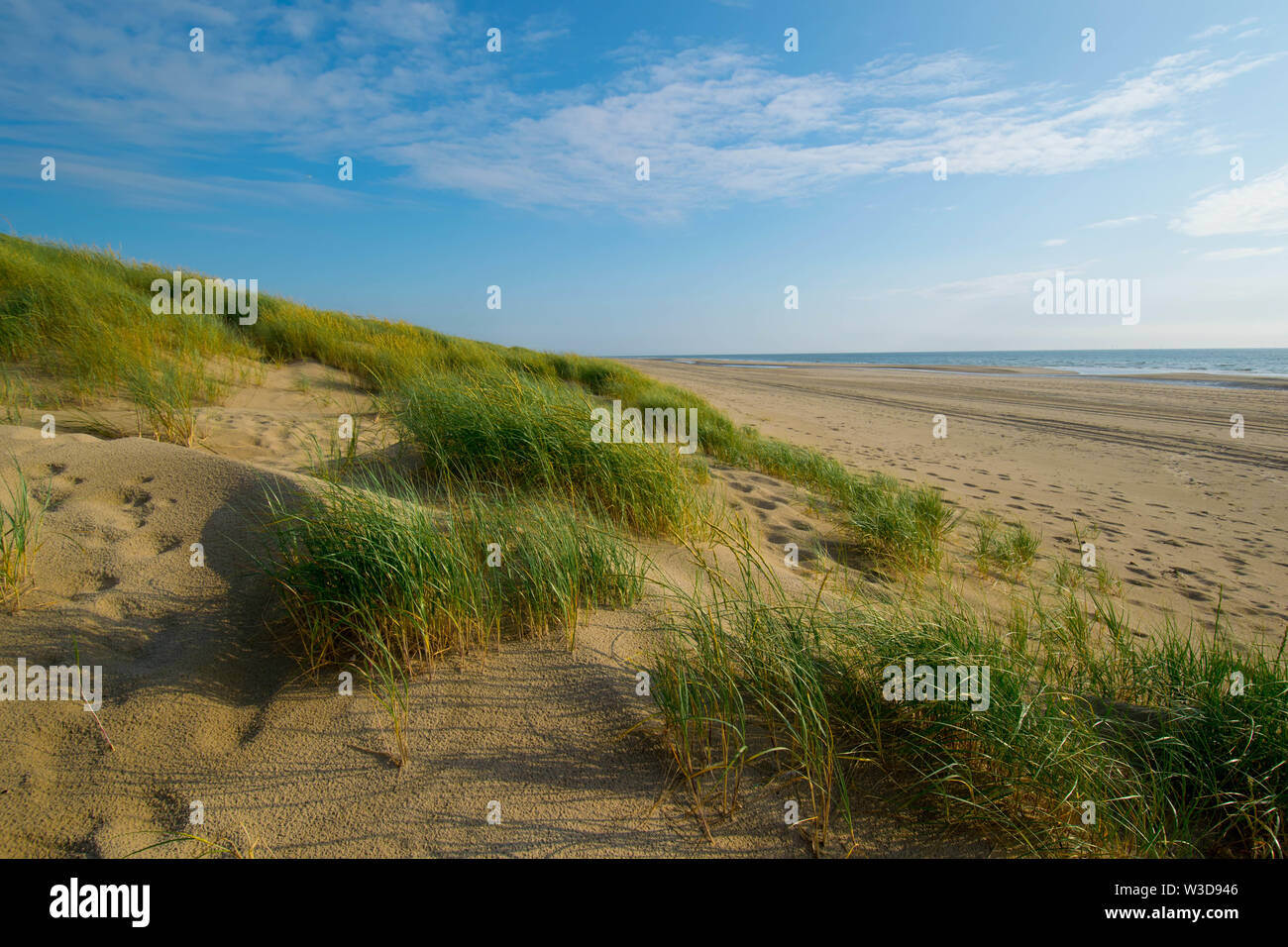 Hargen aan zee -Fotos und -Bildmaterial in hoher Auflösung – Alamy
