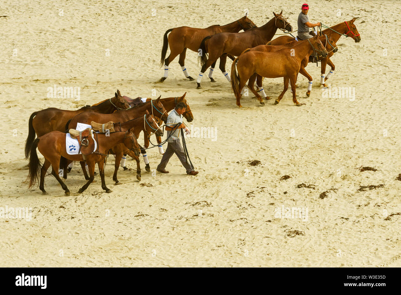 Spiaggia di coda cavallo Stockfotos und -bilder Kaufen - Alamy
