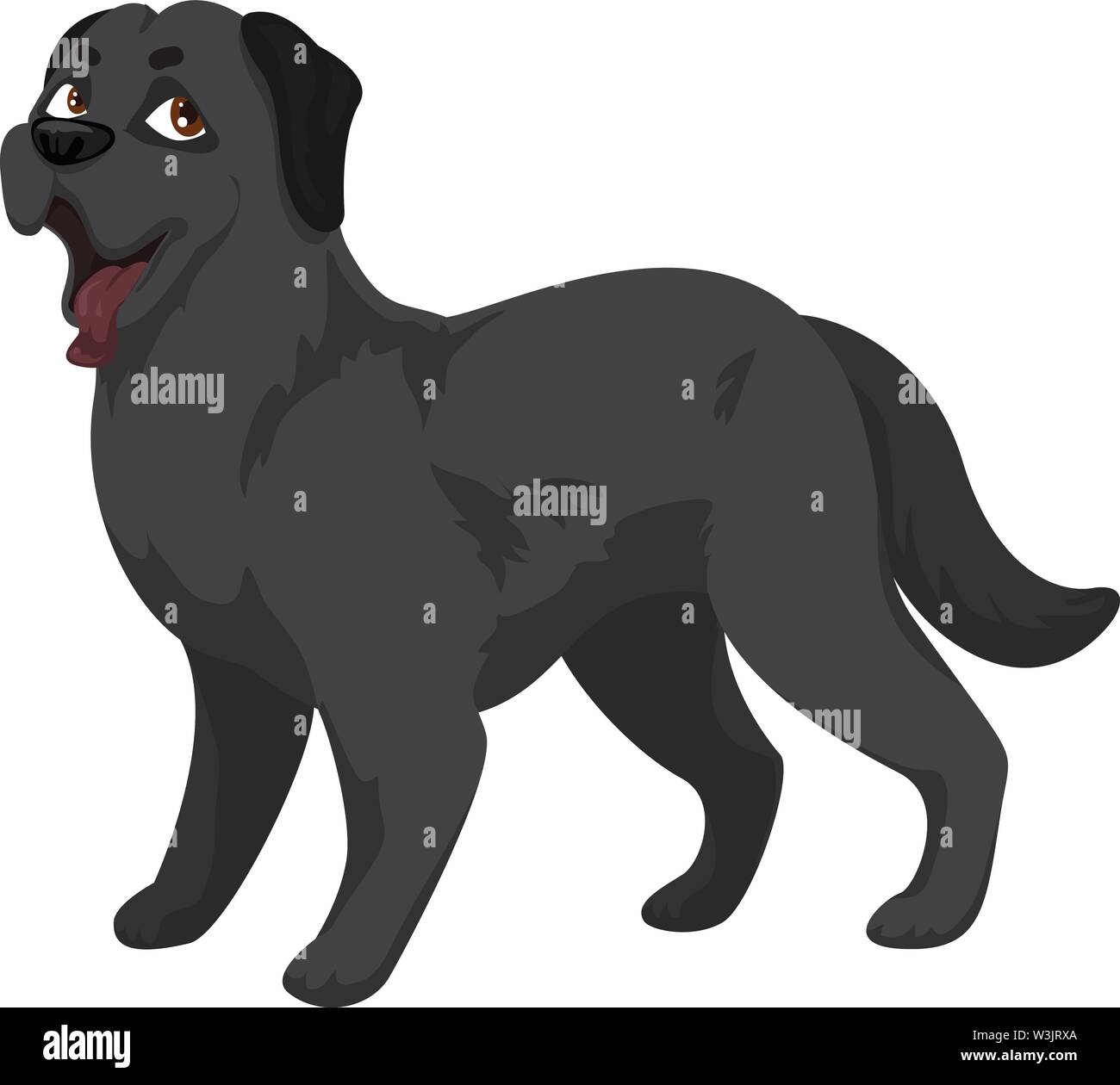 Schwarzer labrador Symbol. Cartoon von schwarzen Labrador vektor Symbol ...