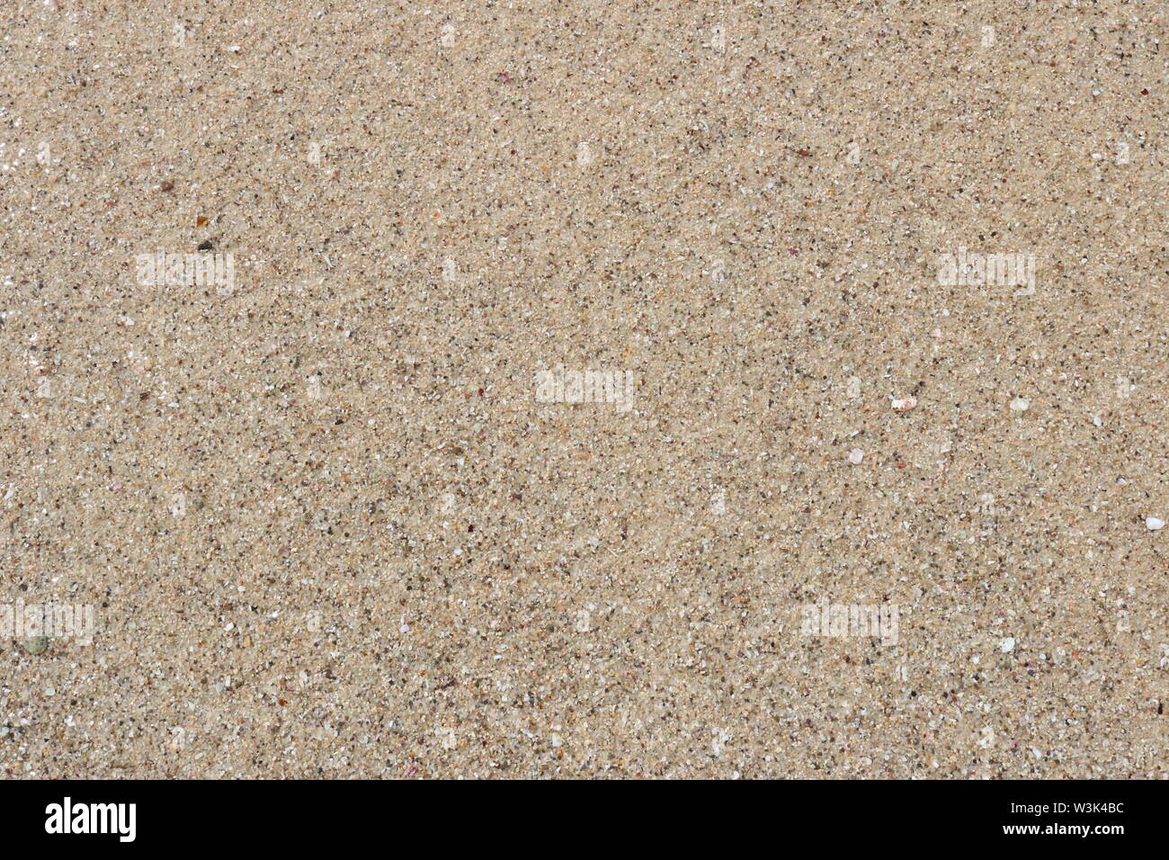 Strand nasser sand und kieselsteine -Fotos und -Bildmaterial in hoher ...