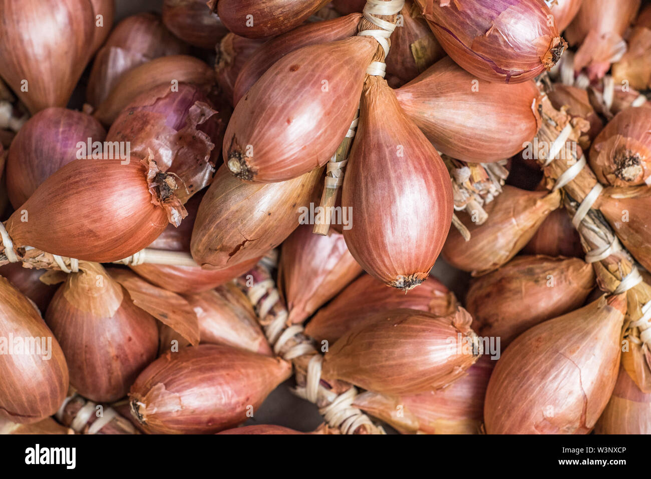 Schalotten pflanzen -Fotos und -Bildmaterial in hoher Auflösung - Seite ...
