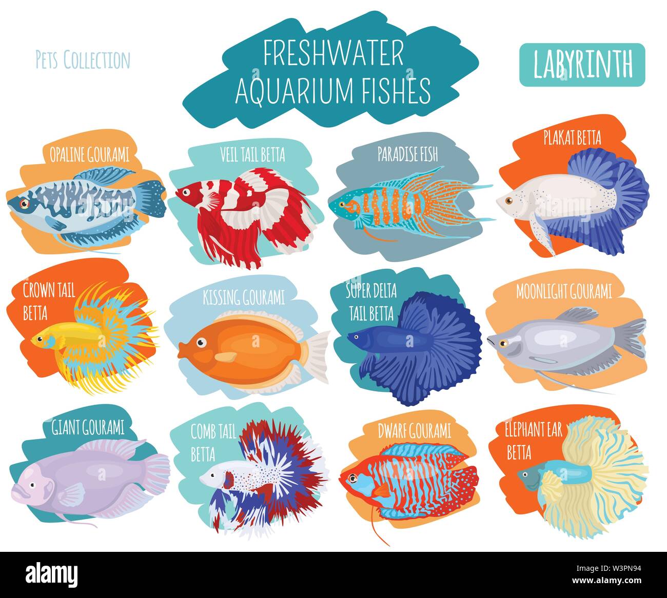 Süßwasser-Aquarium Fische Rassen Icon Set Flat Style isoliert auf Weiss ...