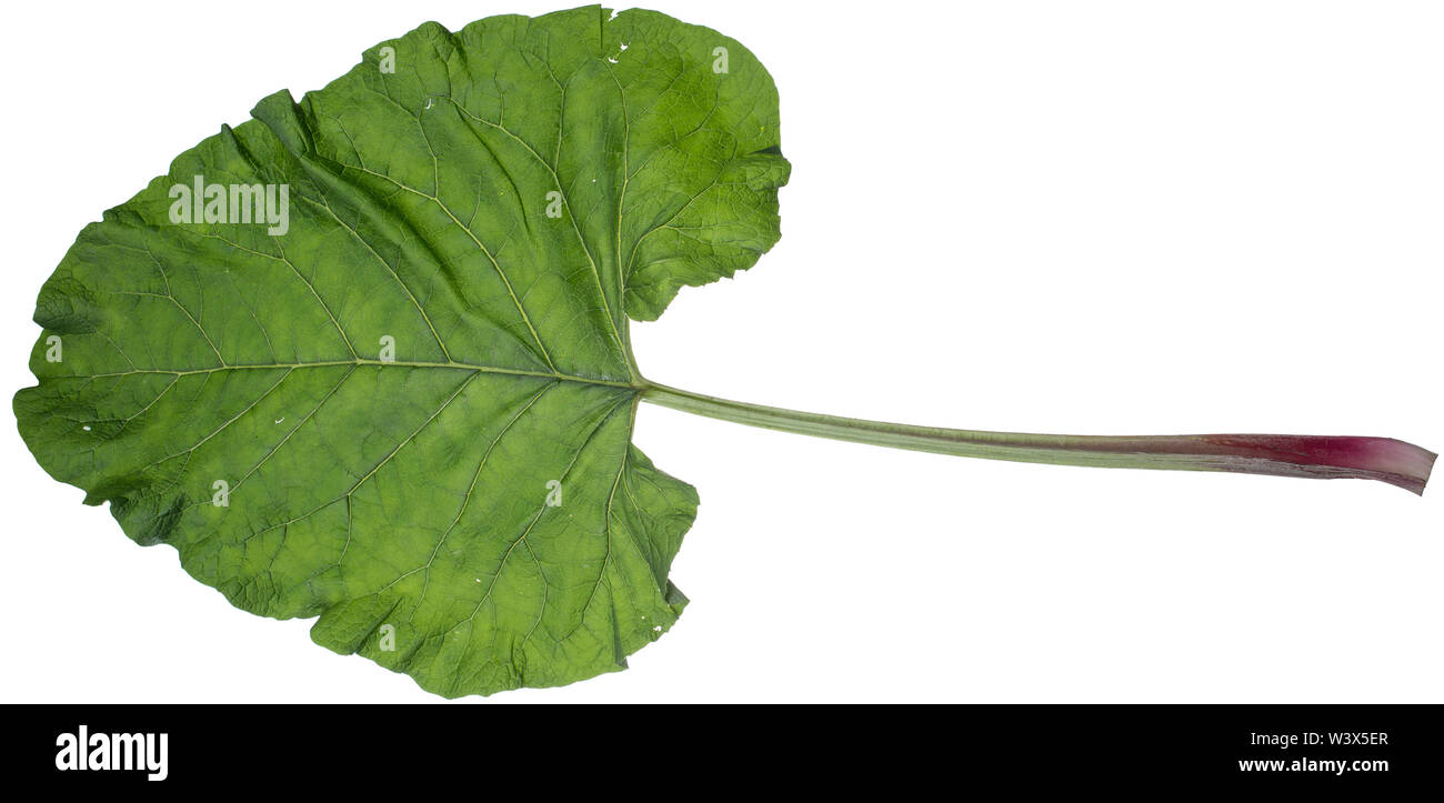 Bardane gemeinde -Fotos und -Bildmaterial in hoher Auflösung – Alamy