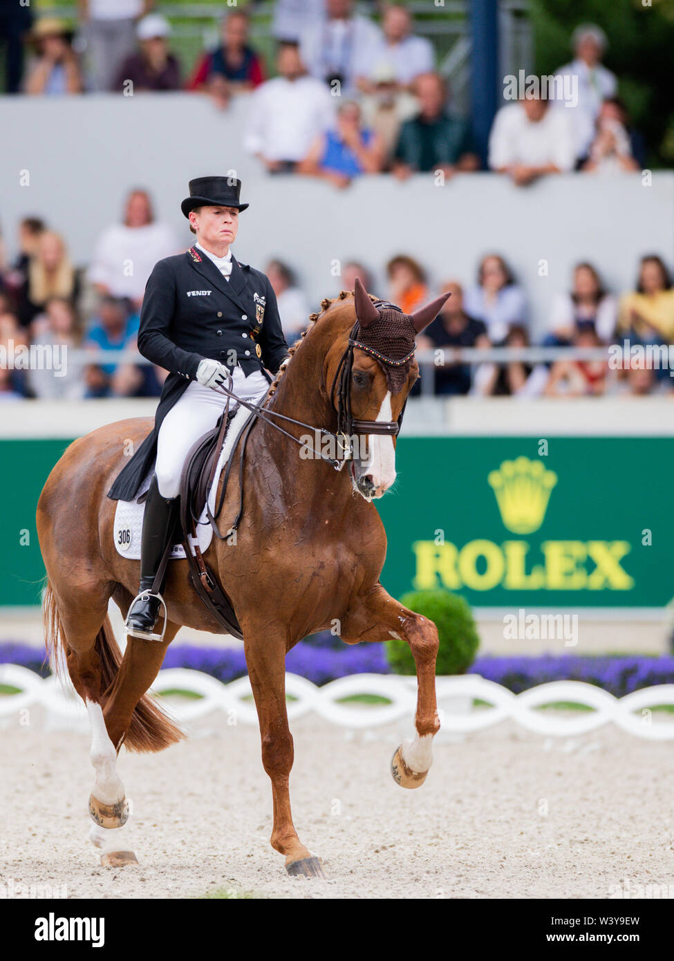 Pferd bella rose 2 -Fotos und -Bildmaterial in hoher Auflösung – Alamy