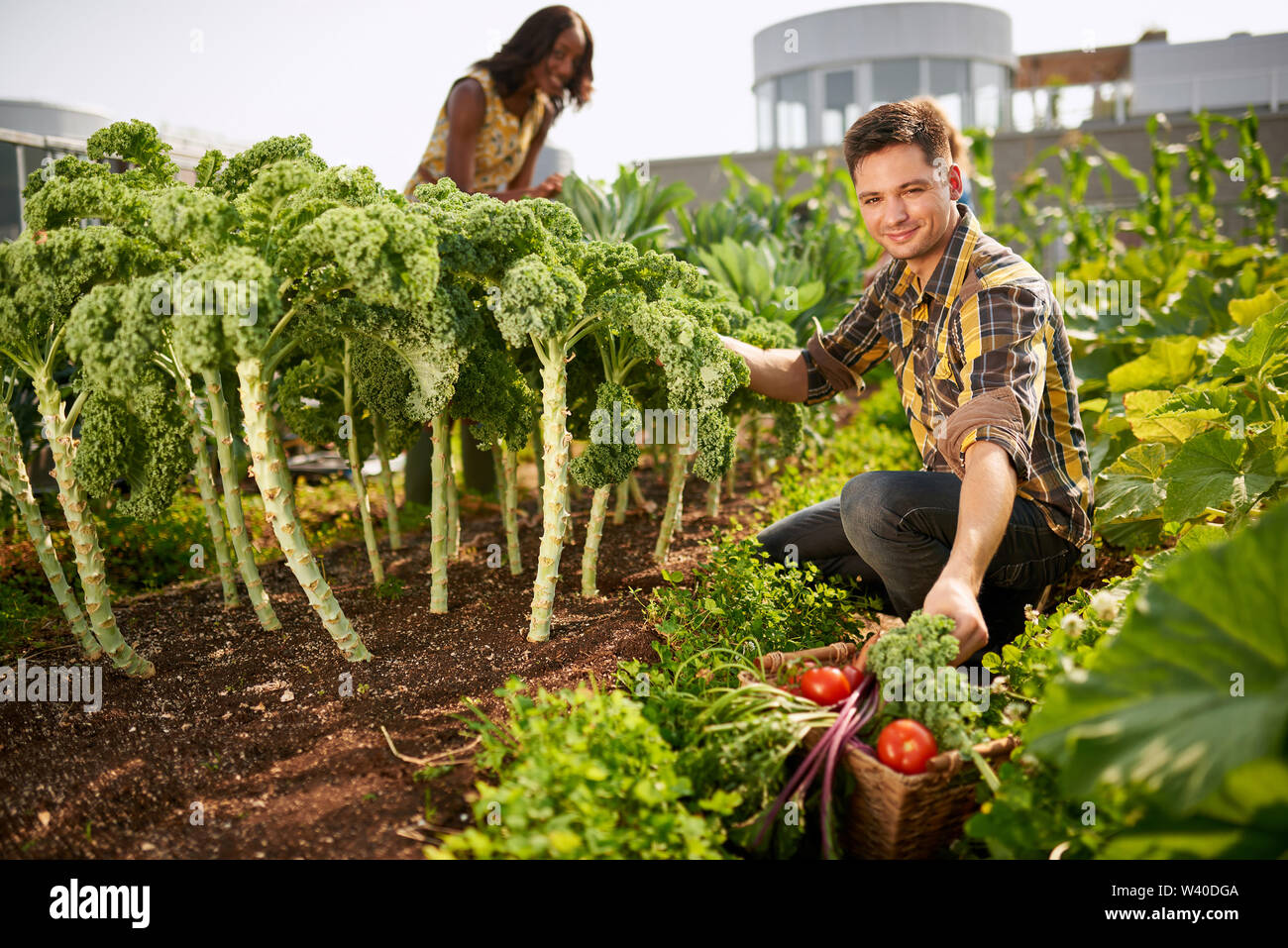 Urban gardening roof -Fotos und -Bildmaterial in hoher Auflösung – Alamy