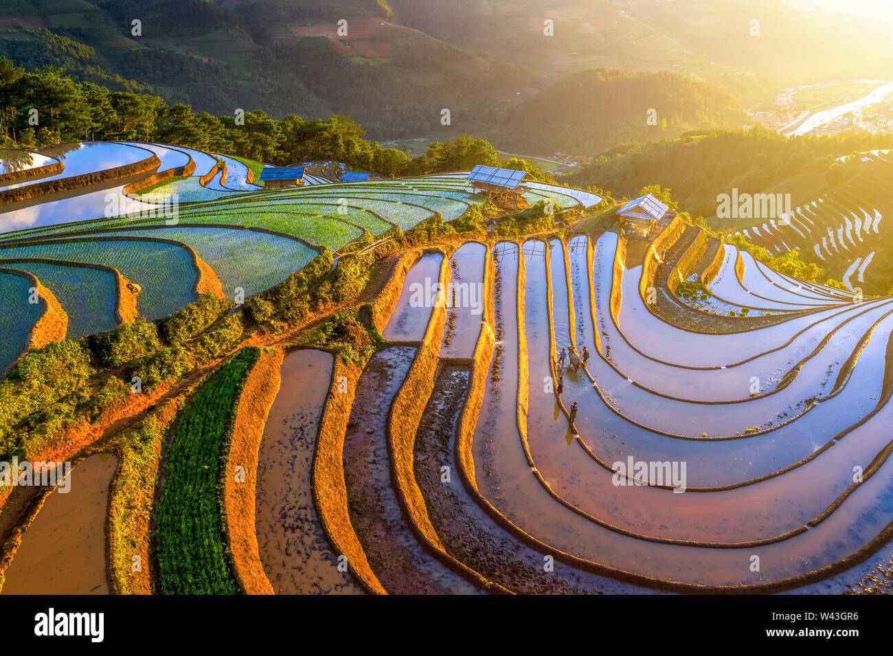 Reis und Wasser auf Terrassen Mu Cang Chai, Yen Bai, Vietnam gleichen ...